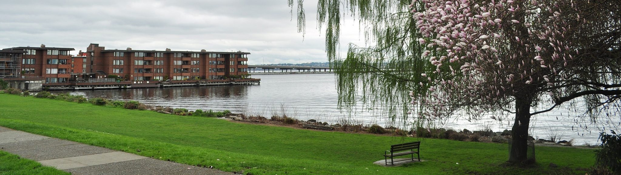 Madison Park - Leslie Deamer